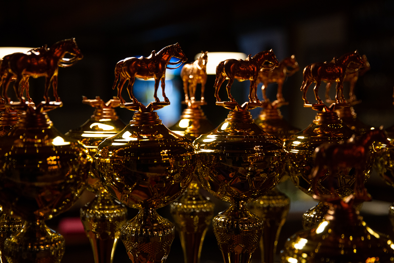 Ehrungen auf der Trophy Party – Welches Modell sagt Dir mehr zu? – EWU ...